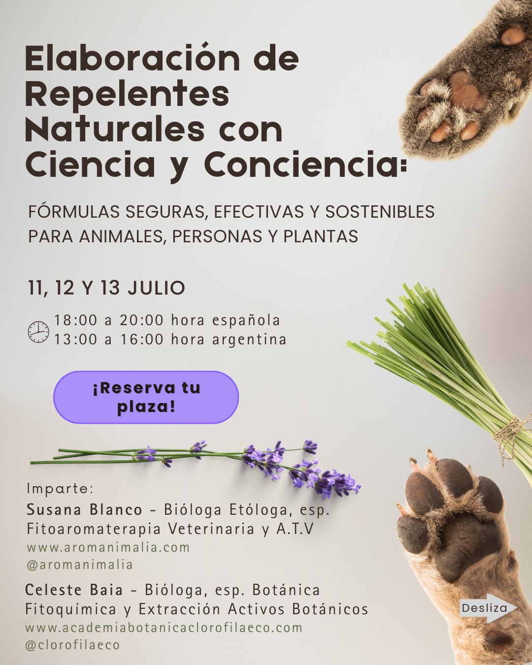 Elaboración de Repelentes Naturales con Ciencia y Conciencia - Aromanimalia